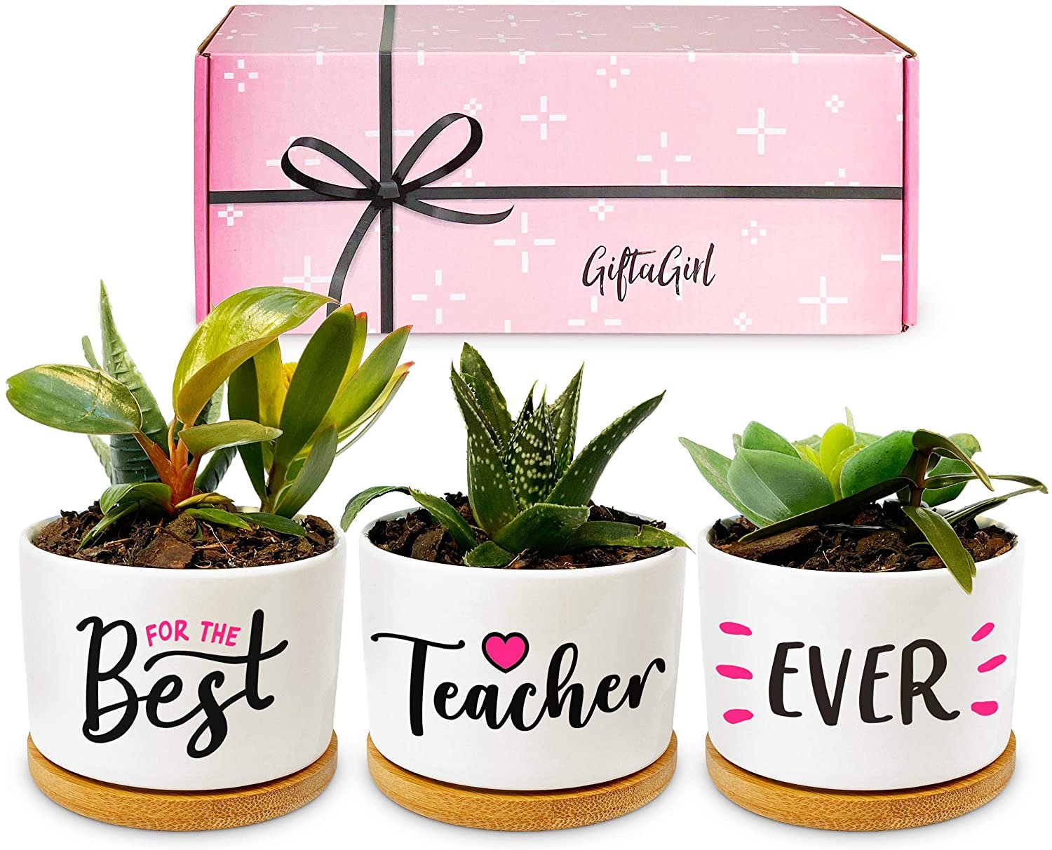 TOP 10 AMAZING GIFT FOR TEACHER | APPRECIATE MENTORS